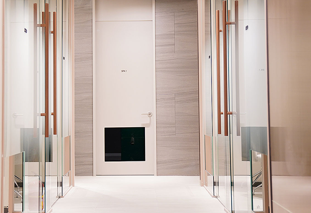 제이린의원 | 부산 서면·남포·울산 피부과 | 필러·보톡스·리프팅·피부관리·다이어트·제모·